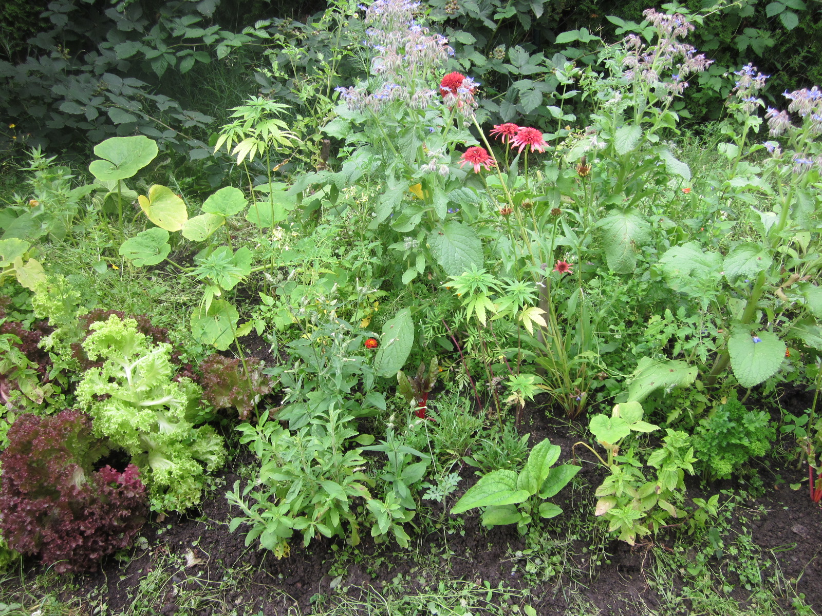 cervenec 2012 014 - PharmDr. Margit Slimáková